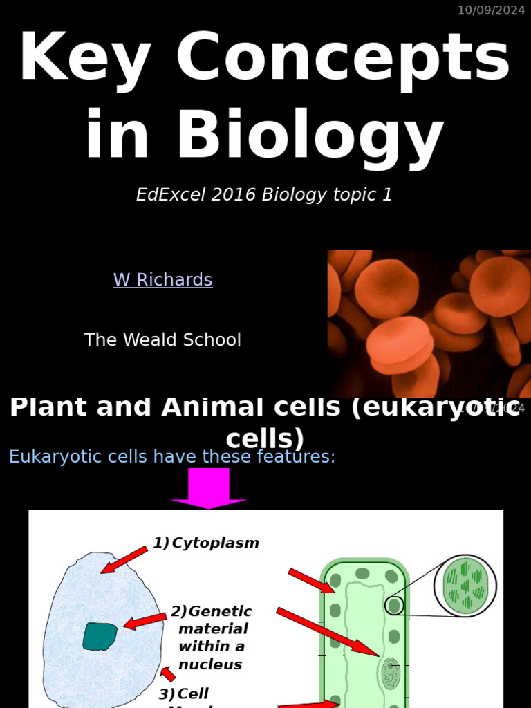 Topic 1 - Key Concepts in Biology | PDF