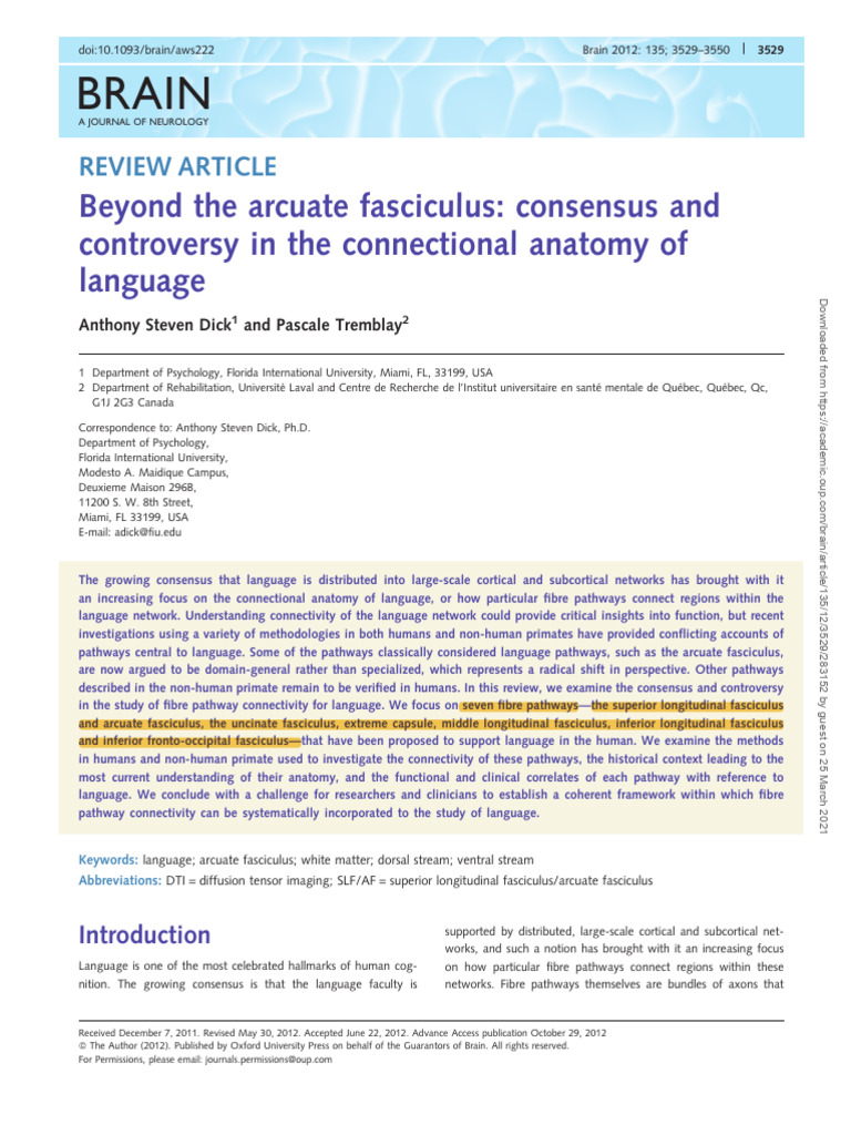 Acuate Fasciculus Language | PDF
