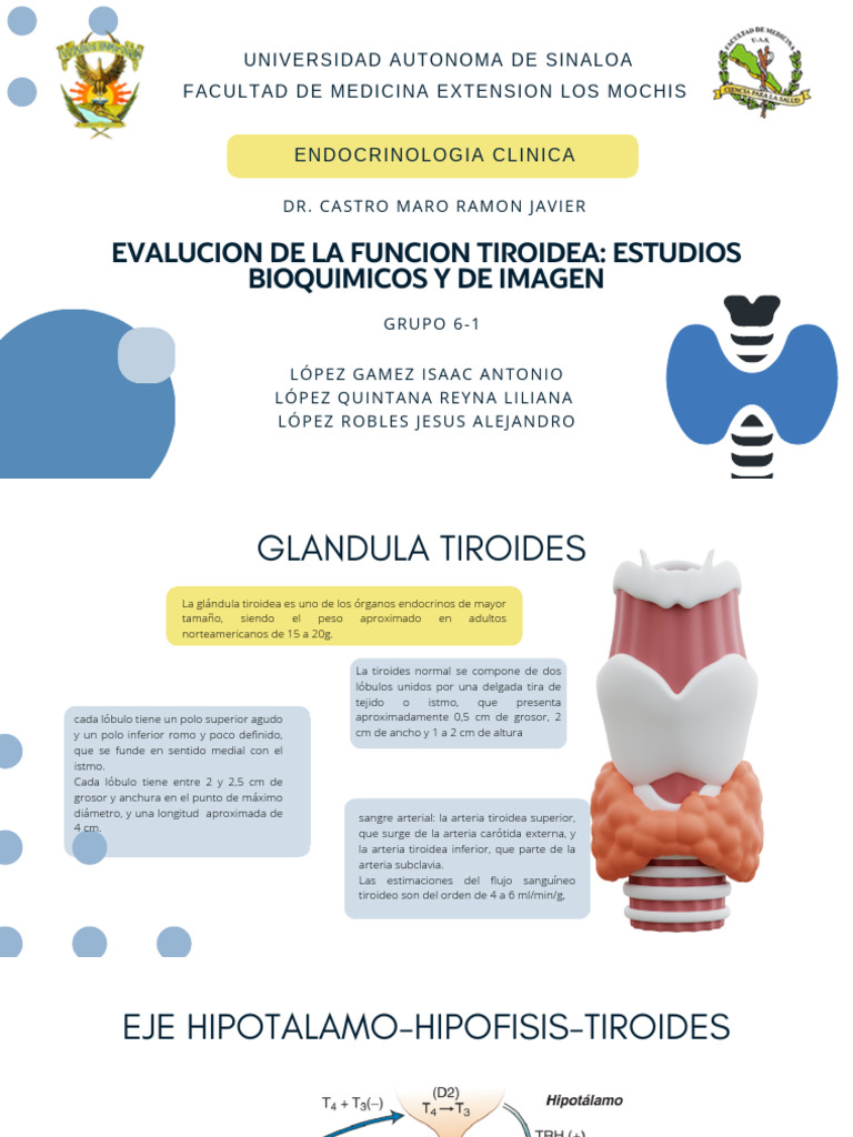 Perfil Tiroideo Pdf