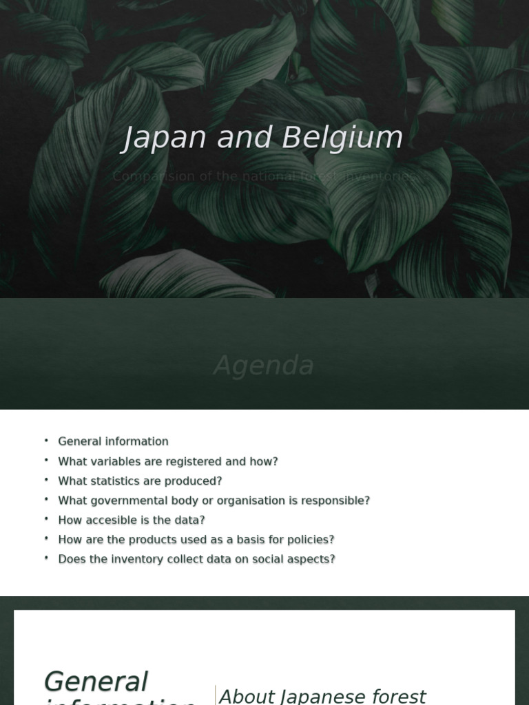 BelgiumJapan ForestInventory | PDF