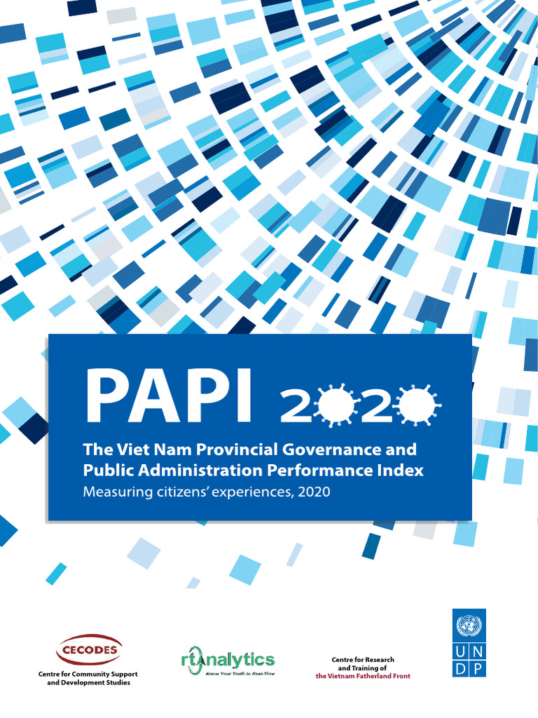 Papi 2020 Final Report En-2 | PDF