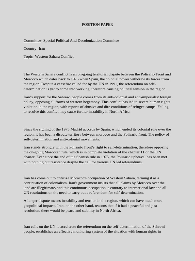 POSITION PAPER Finalised | PDF