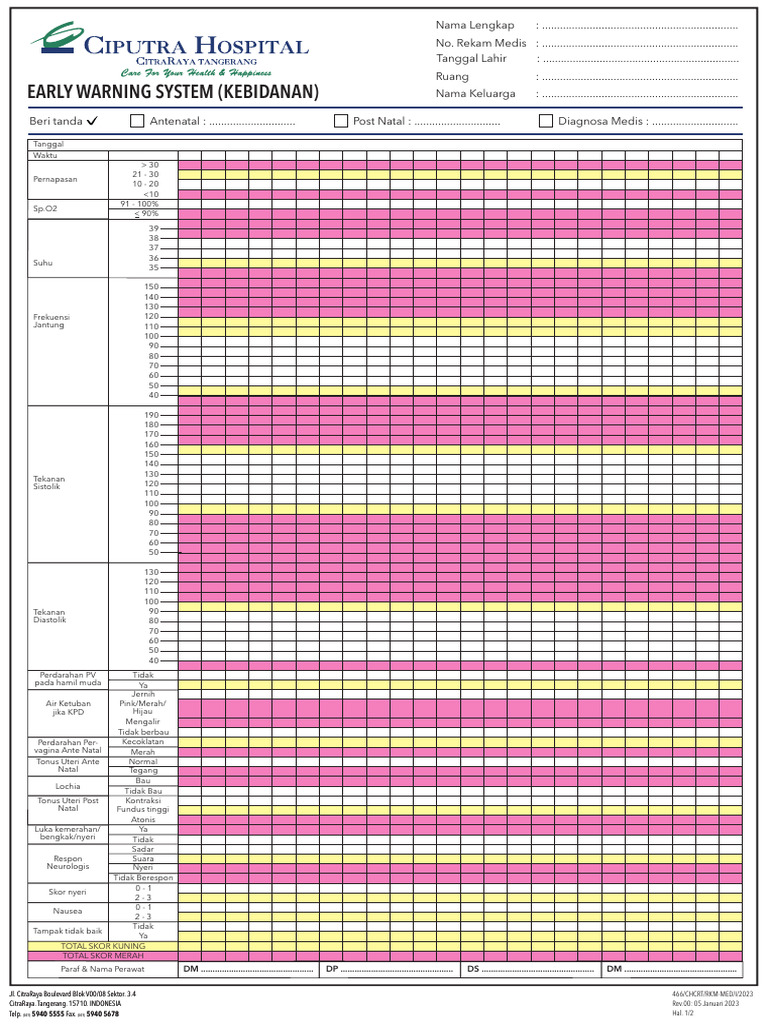 FORMULIR MEOWS | PDF