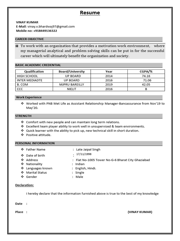Vinay Kumar Resume | PDF