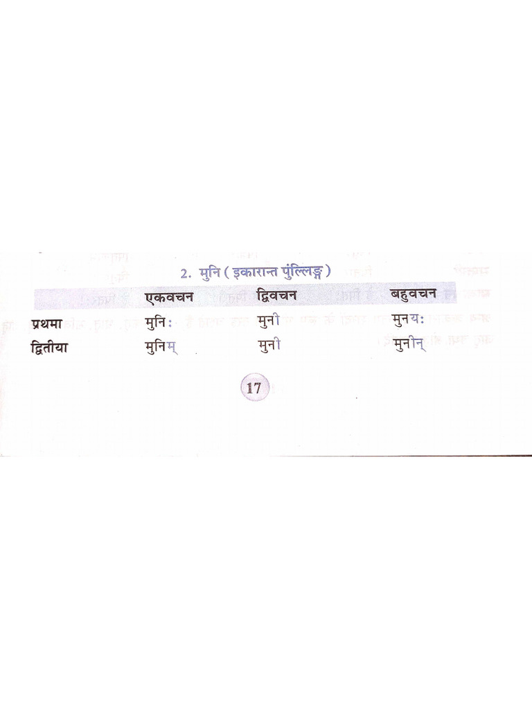 Sans 8 Shabd and Dhatu Roop | PDF