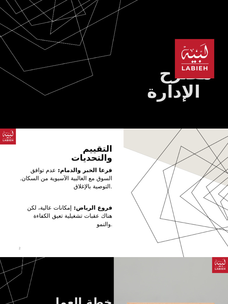 Labieh Proposal Arabic | PDF