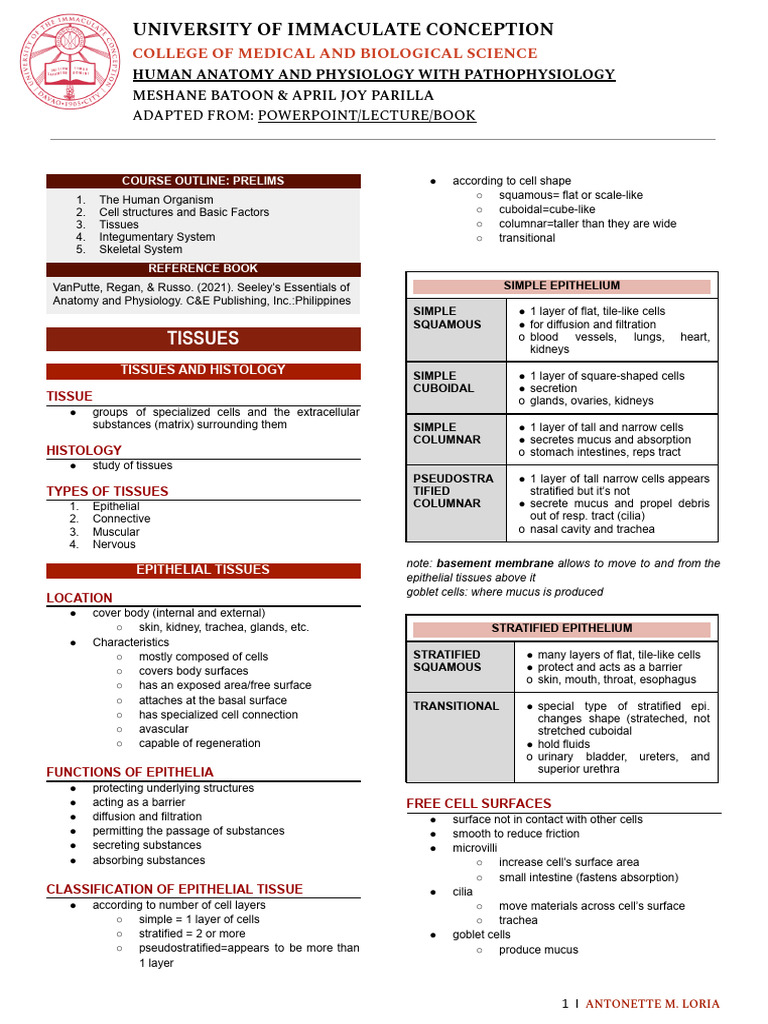 Human Anatomy and Physiology Guide | PDF | Epithelium | Tissue (Biology)