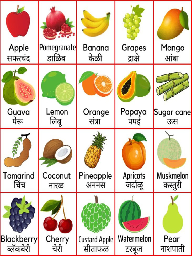 Fruits | PDF