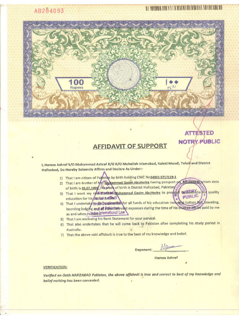 Affidavit of Support | PDF
