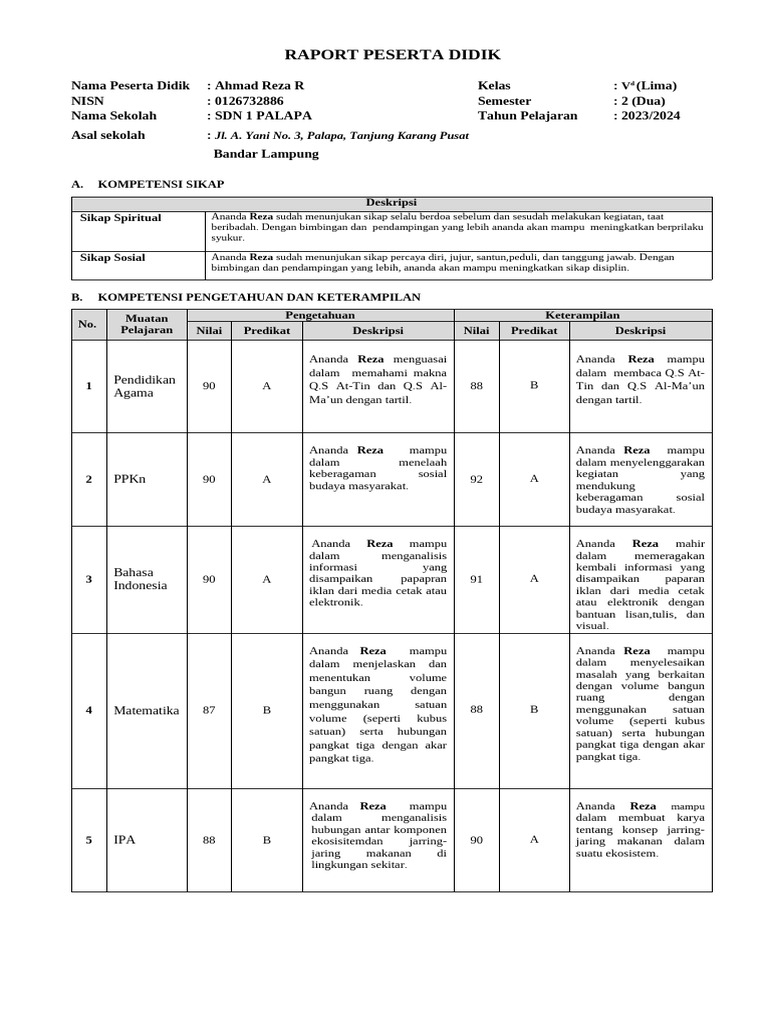 Raport Mala 5d | PDF