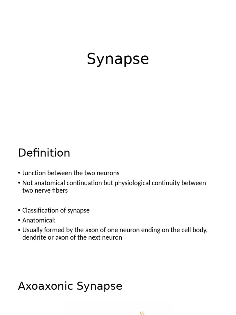 Synapse | PDF