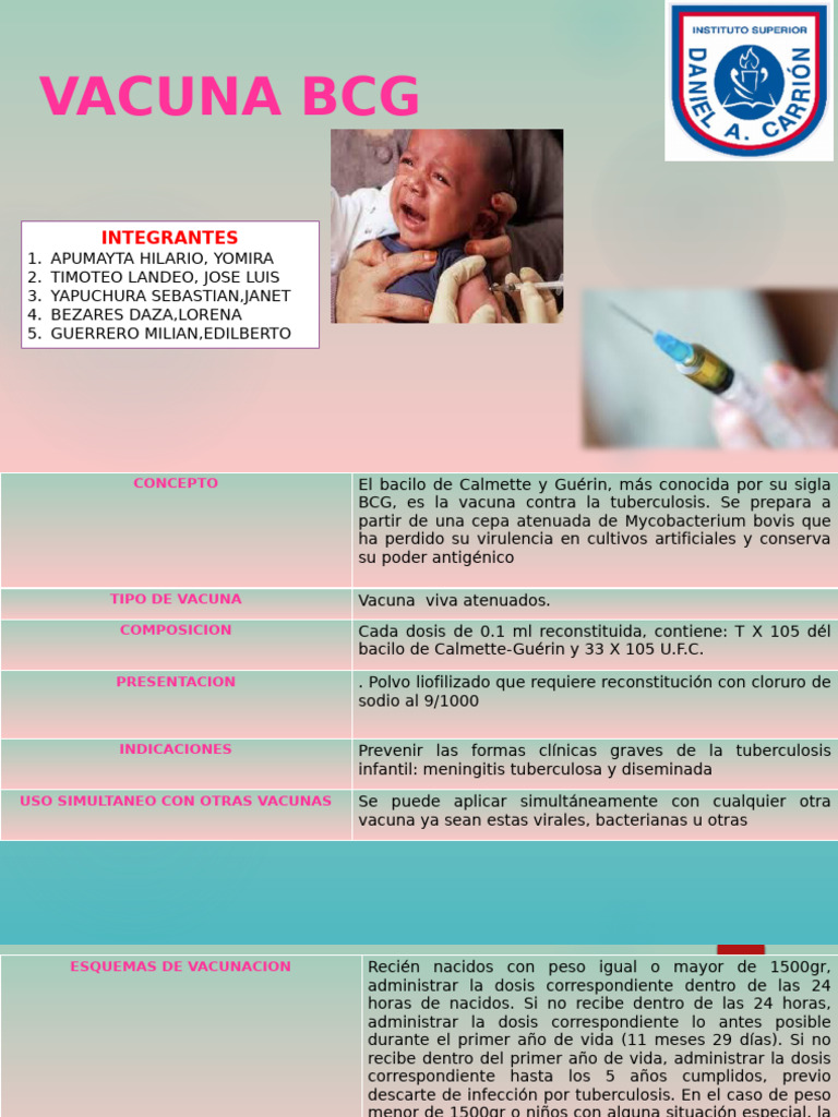 Inmunizacion BCG | PDF