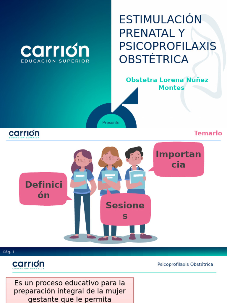 Estimulación Prenatal y Psicoprofilaxis | PDF