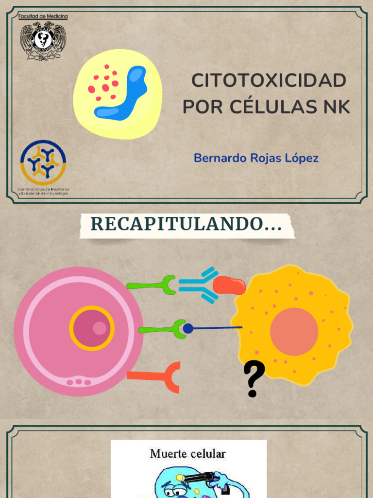 Citotoxicidad Por Células NK - Compressed | PDF