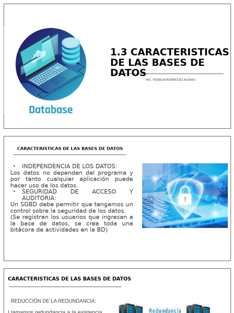 1.3 Caracteristicas de Una Base de Datos | PDF | Bases de datos | Archivo de computadora