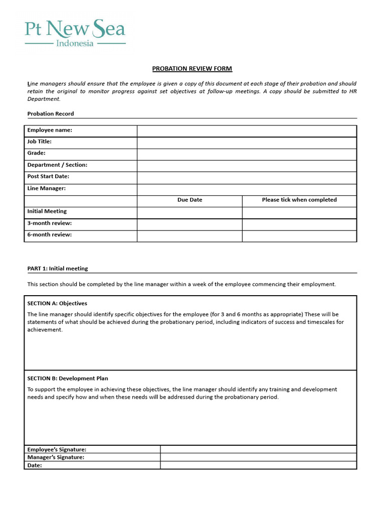 NSG Probationary Review Form 082023 | PDF