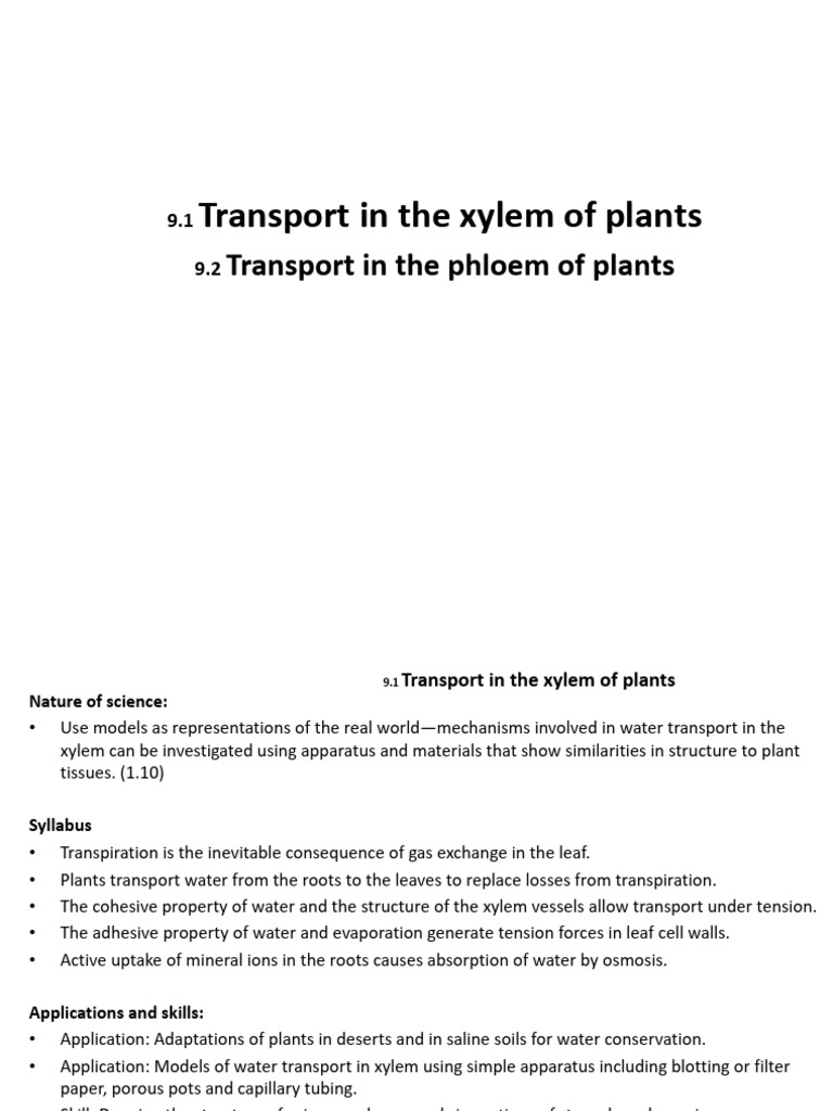 9.1 Transport in Xylem + 9.2 Transport in Phloem (Plants) - Students | PDF