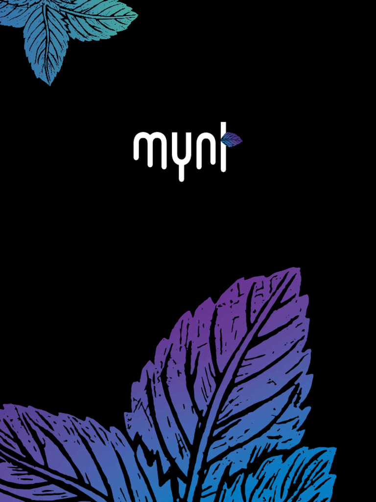 Mynt Menu | PDF