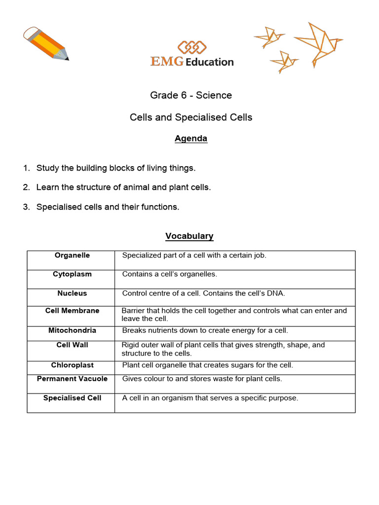 Coming Next in Science - Cells Specialised Cells | PDF