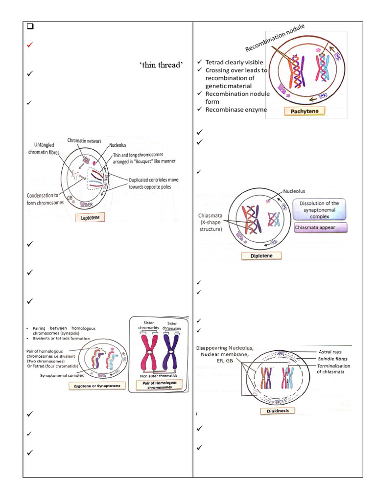 cell division notes | PDF