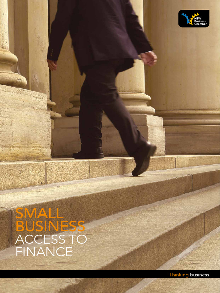 Small Business Finance Access Issues | PDF | Loans | Business