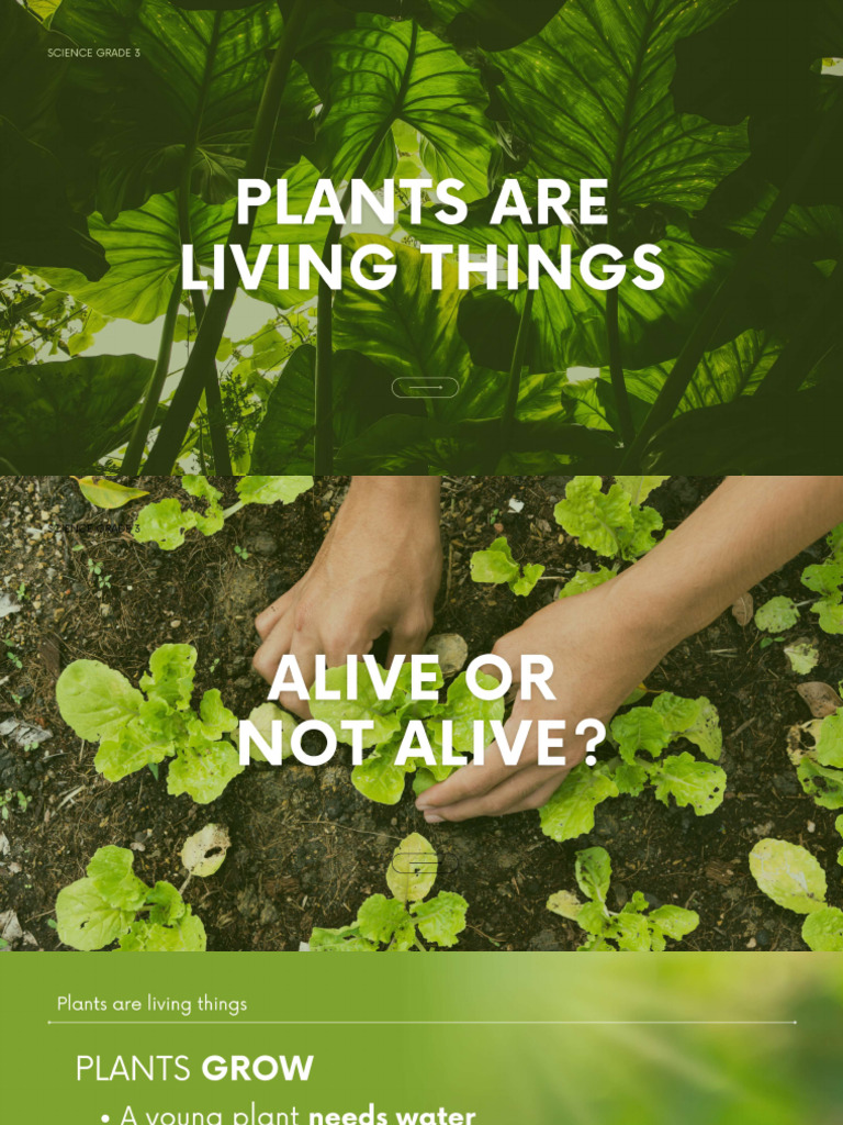 Grade 3 Science Unit 1 Pdf