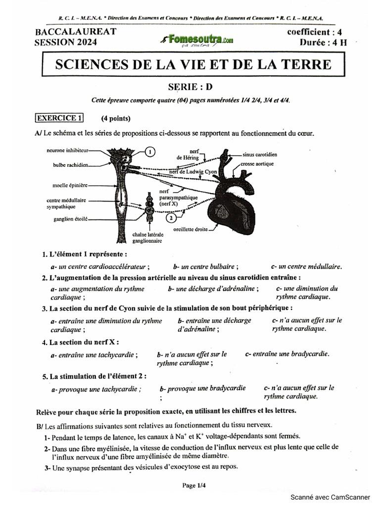 Sujet Et Corrigé Bac 2024 SVT SERIE D | PDF