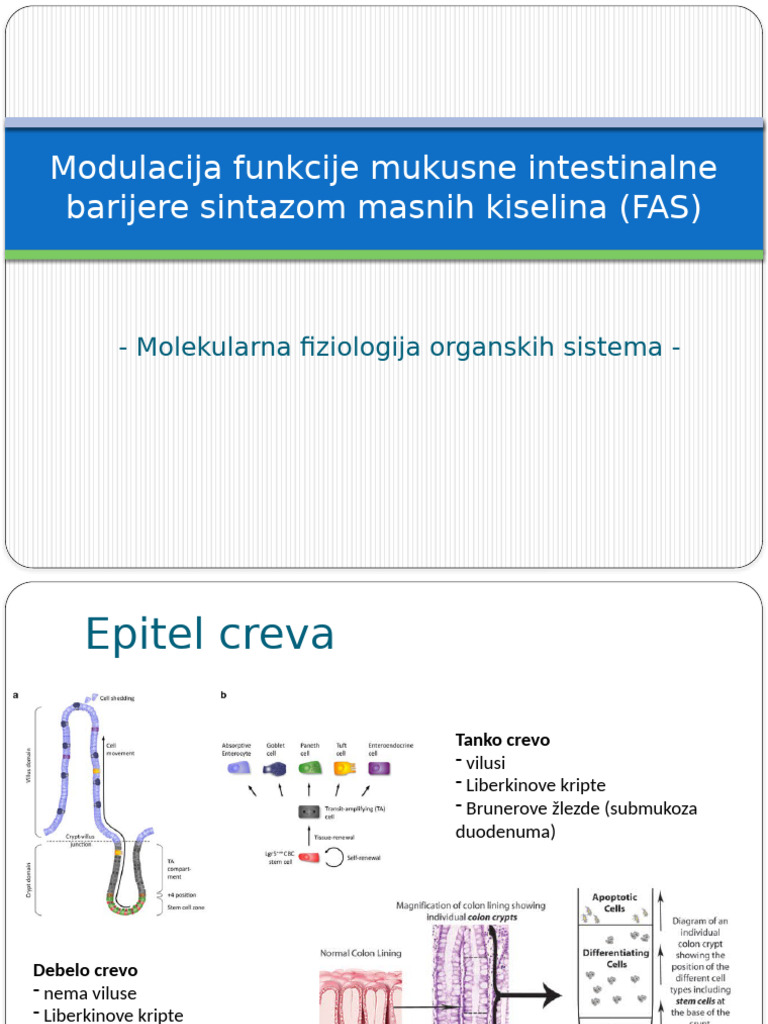 Mukusna Barijera I FAS | PDF