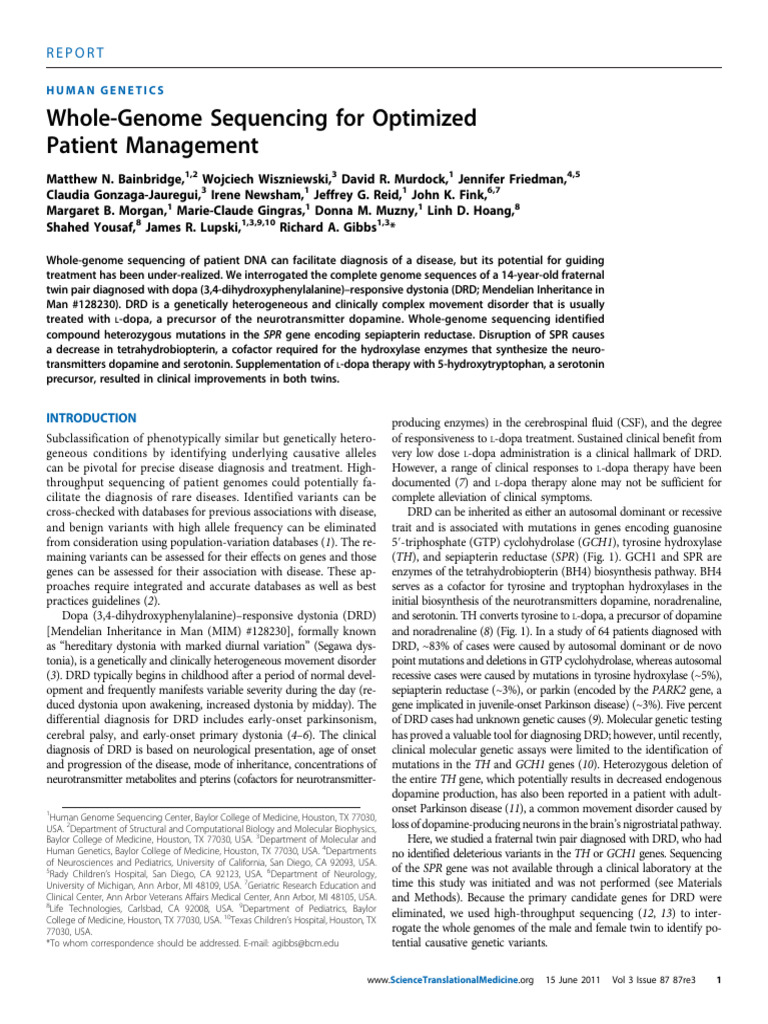 Bainbridge Paper Twins | PDF