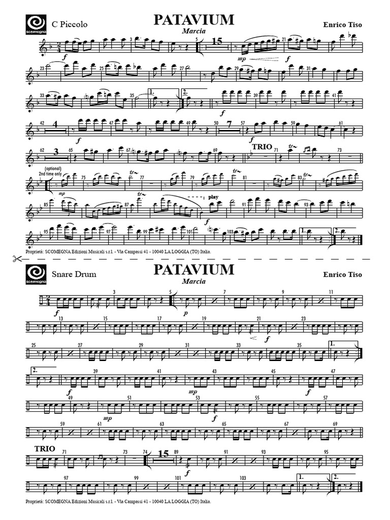 PATAVIUM Parts | PDF