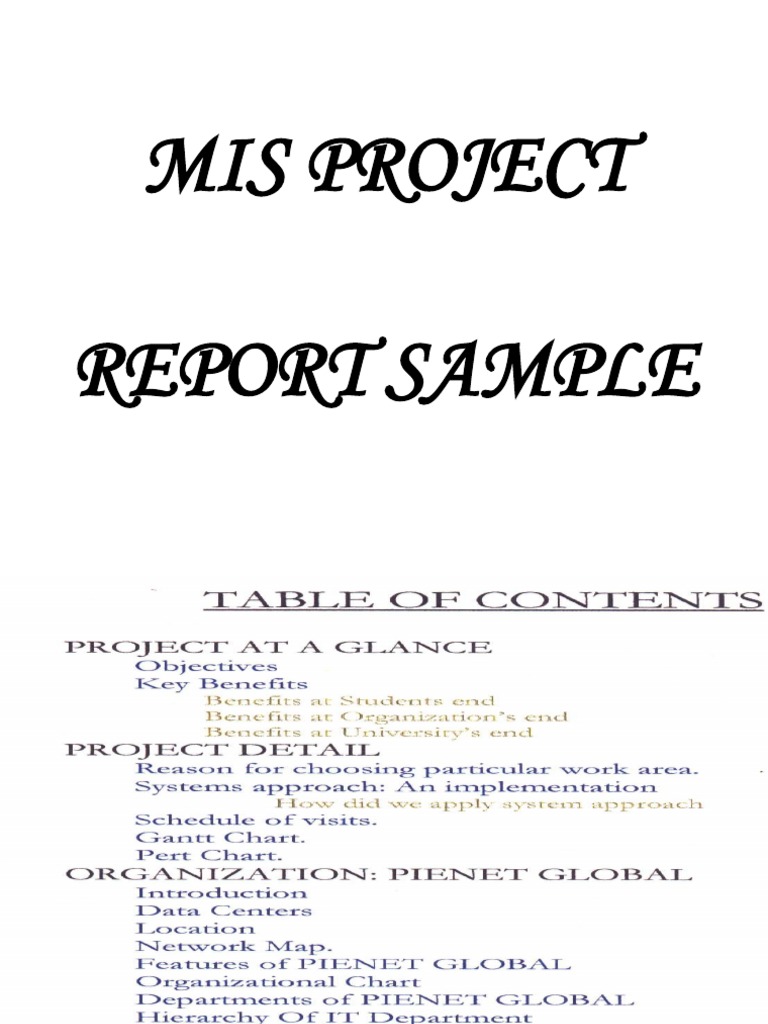 Mis Project Sample | PDF