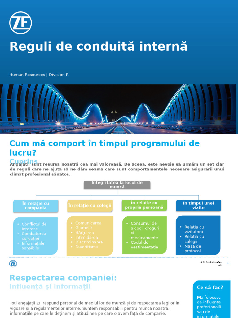 Reguli de Conduita Interna | PDF