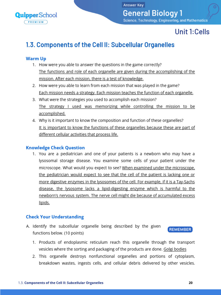 Bio1 11 - 12 Q1 0103 Ak | PDF