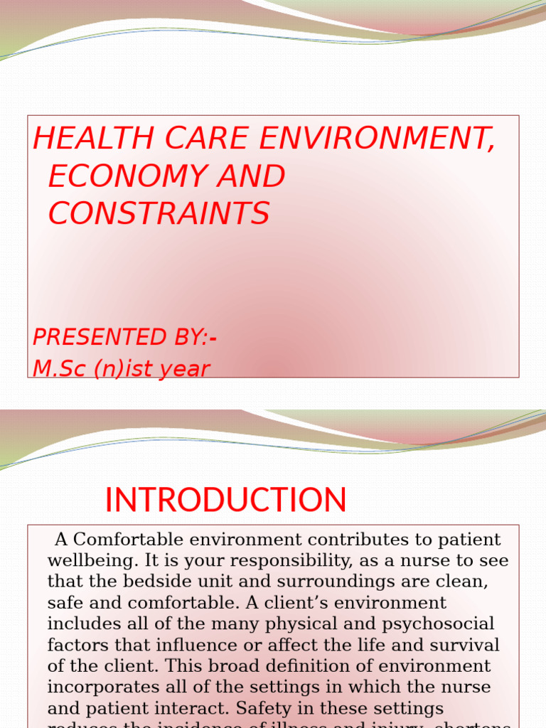 Health Care Environment, Economy and Constraints | PDF