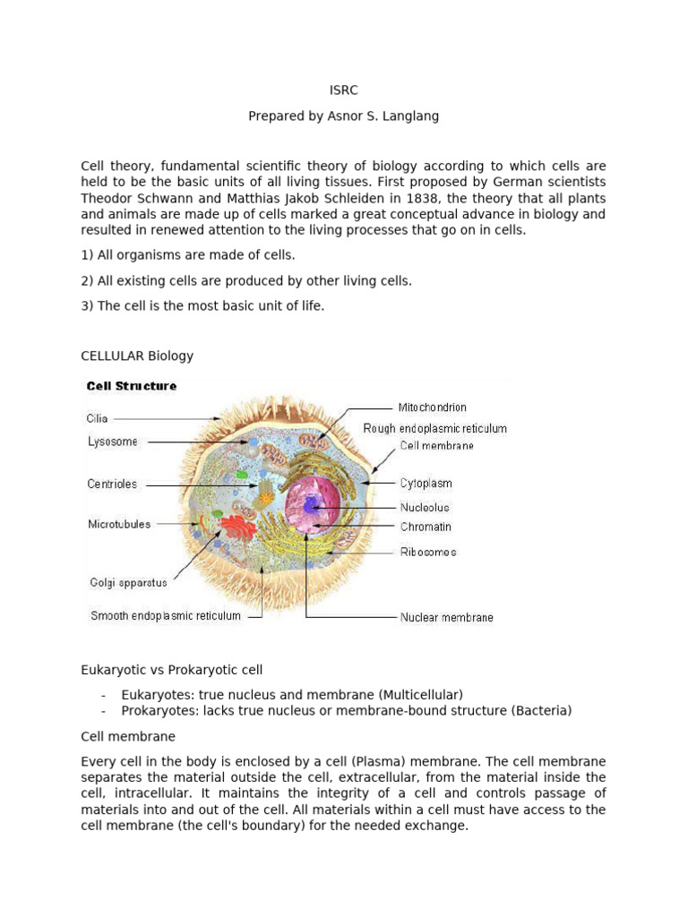 Isrc 1ST | PDF | Cell (Biology) | Wellness