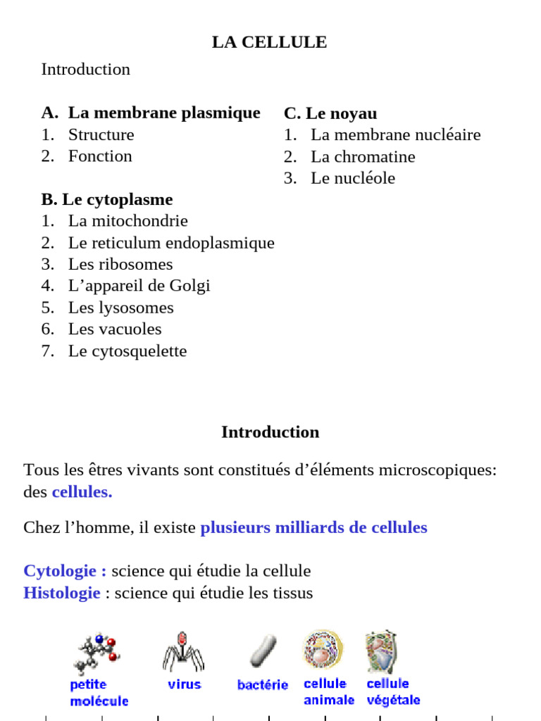 Cours N°2 La Cellule | PDF | Noyau (biologie) | Sciences et mathématiques