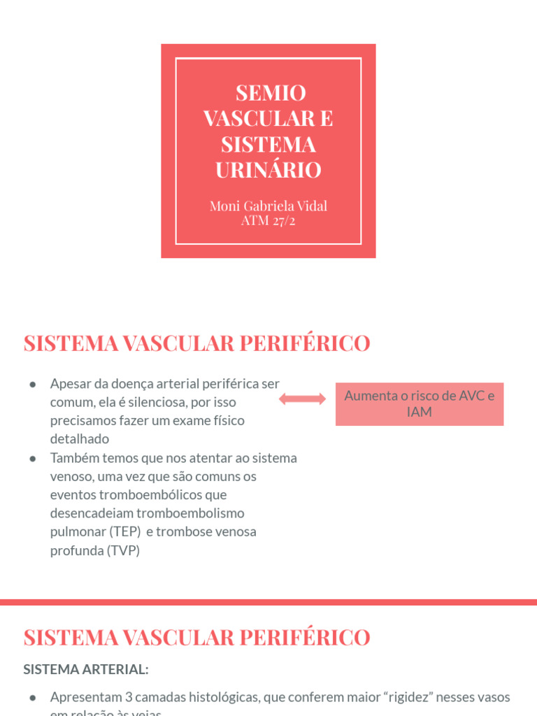 Semio Vascular e Urinário | PDF