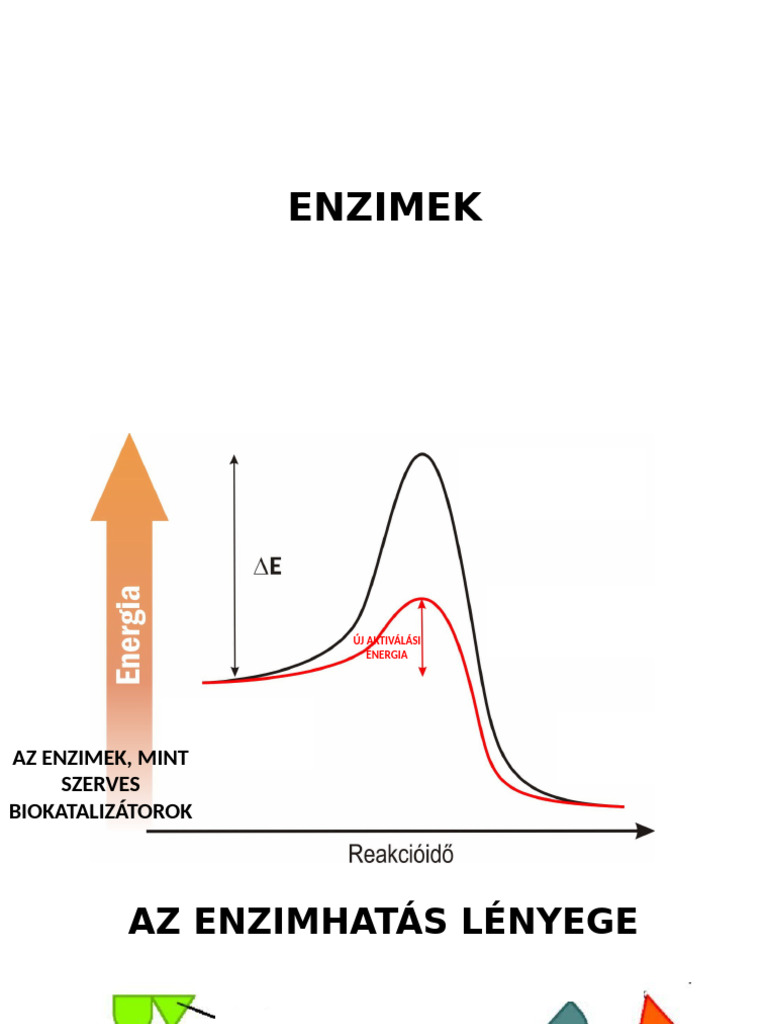 Enzimek 2021 1 | PDF
