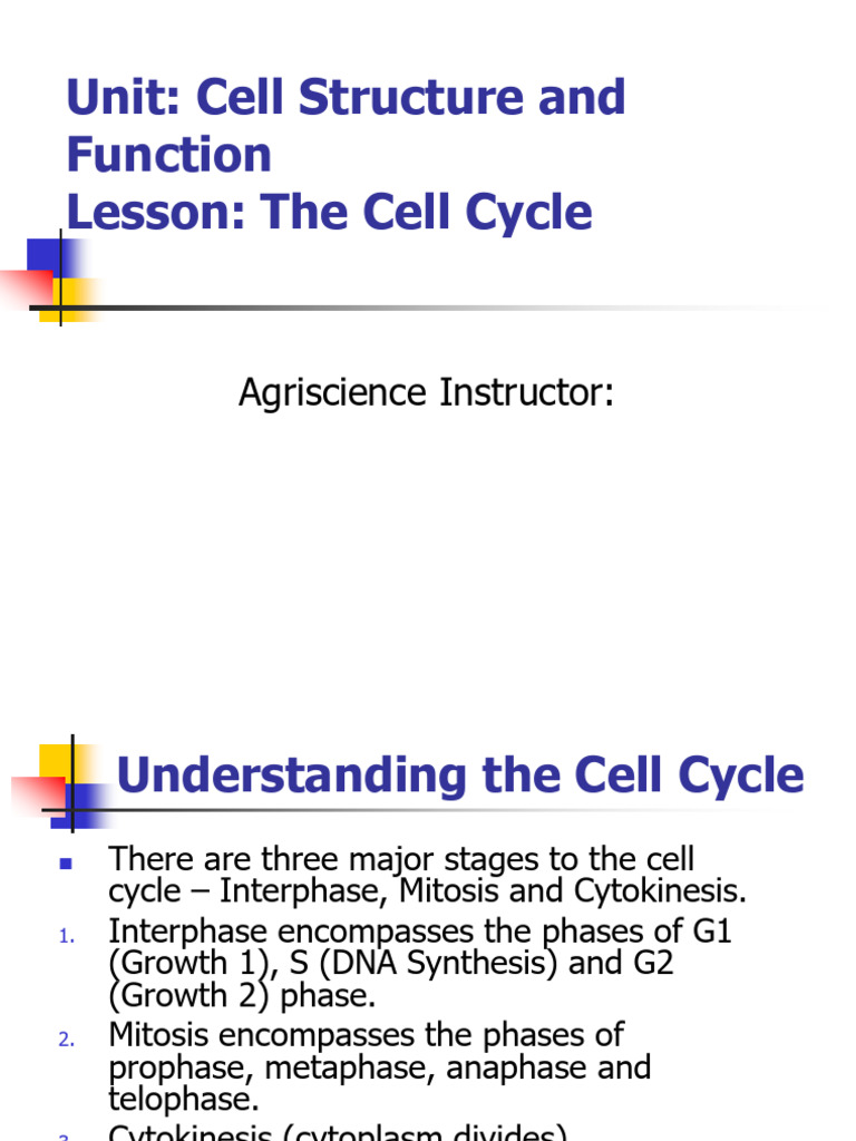 Cell Cycle | PDF