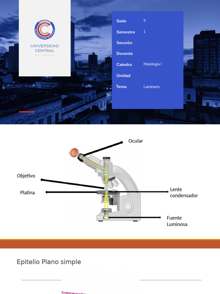 Laminario de Repaso General Histo I | PDF