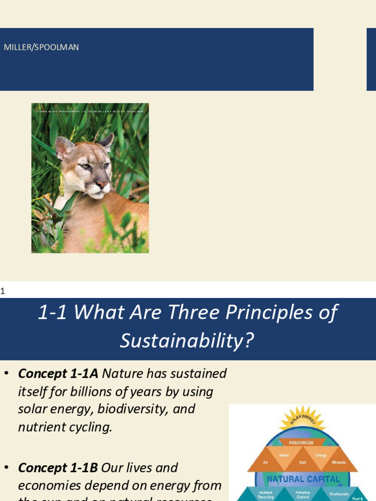Three Principles of Sustainability Explained | PDF | Sustainability ...