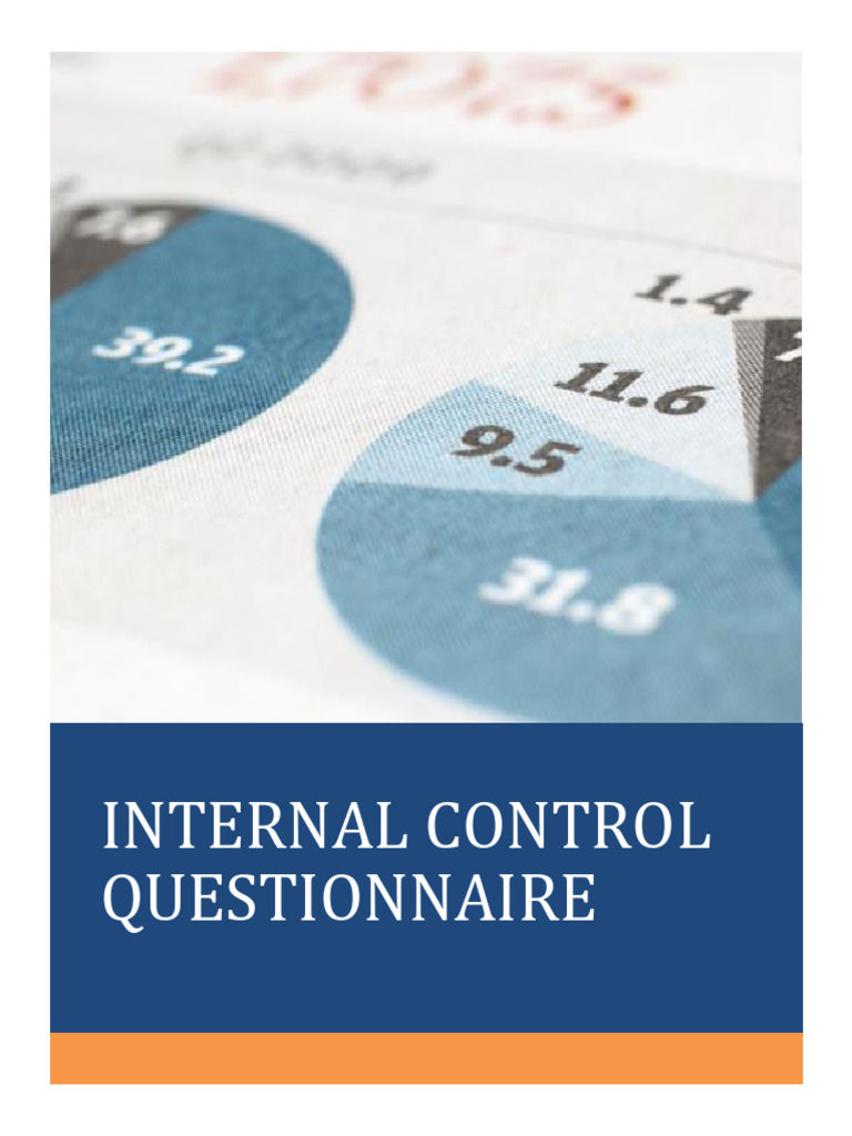 Controle Interne | PDF