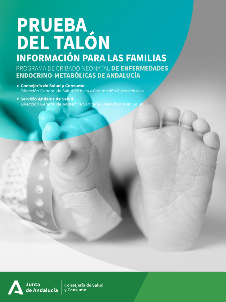 Prueba Talon Informacion Familias V1 | PDF