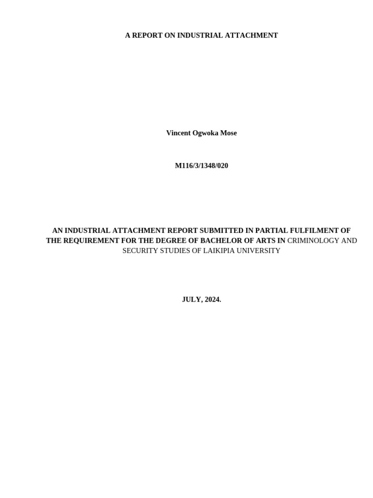 Vincent Report | PDF