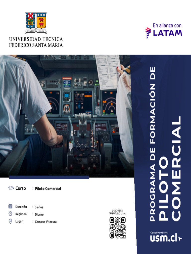 Programa Piloto Comercial | PDF