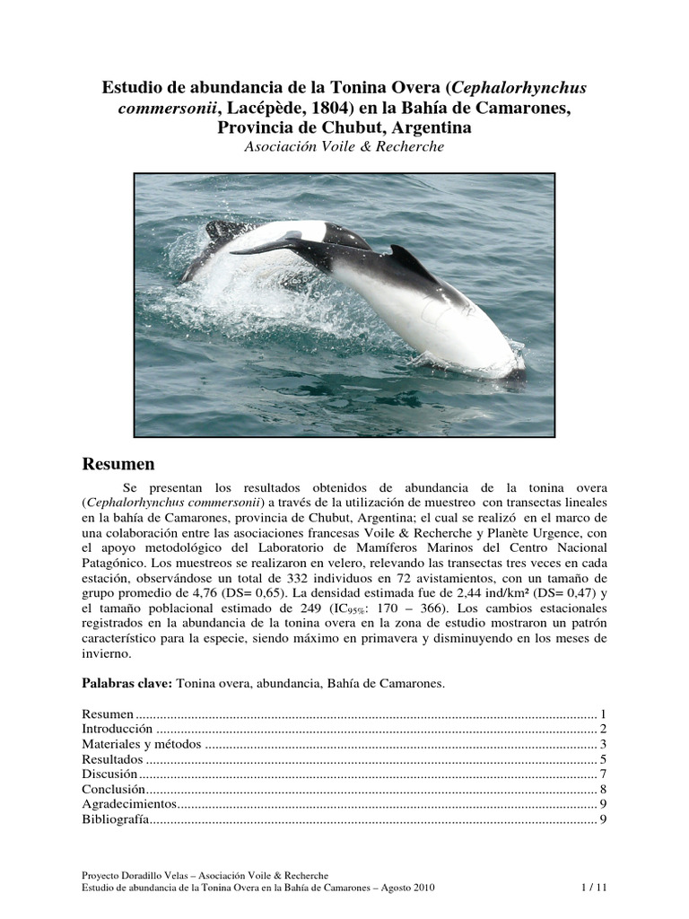 Estudio Tonina Overa Camarones - Informe Final - Sept2010 | PDF ...