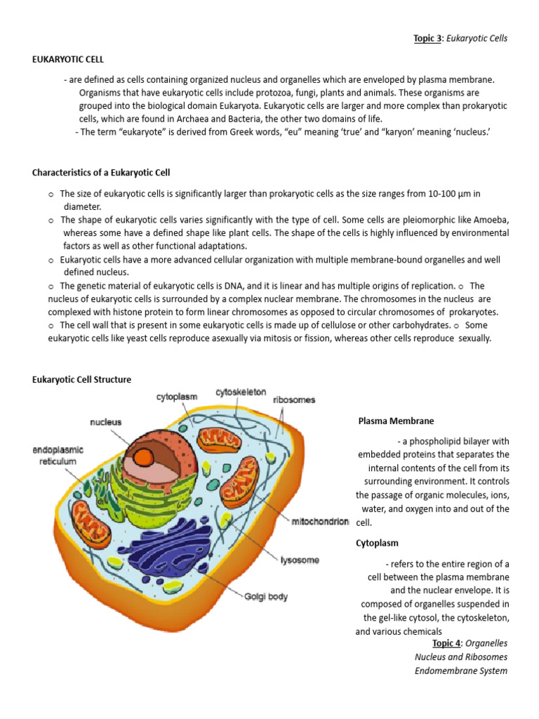 Module 2 - Topic 3 & 4 (Biochem) | PDF