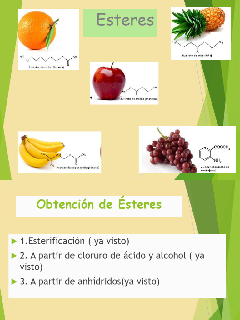 Esteres | PDF