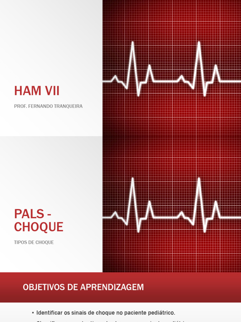 1 - CHOQUE - PALS - ALUNOS | PDF