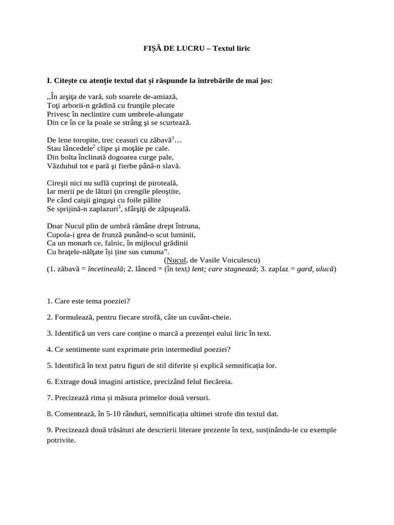 Fisa de Lucru_textul Liric | PDF